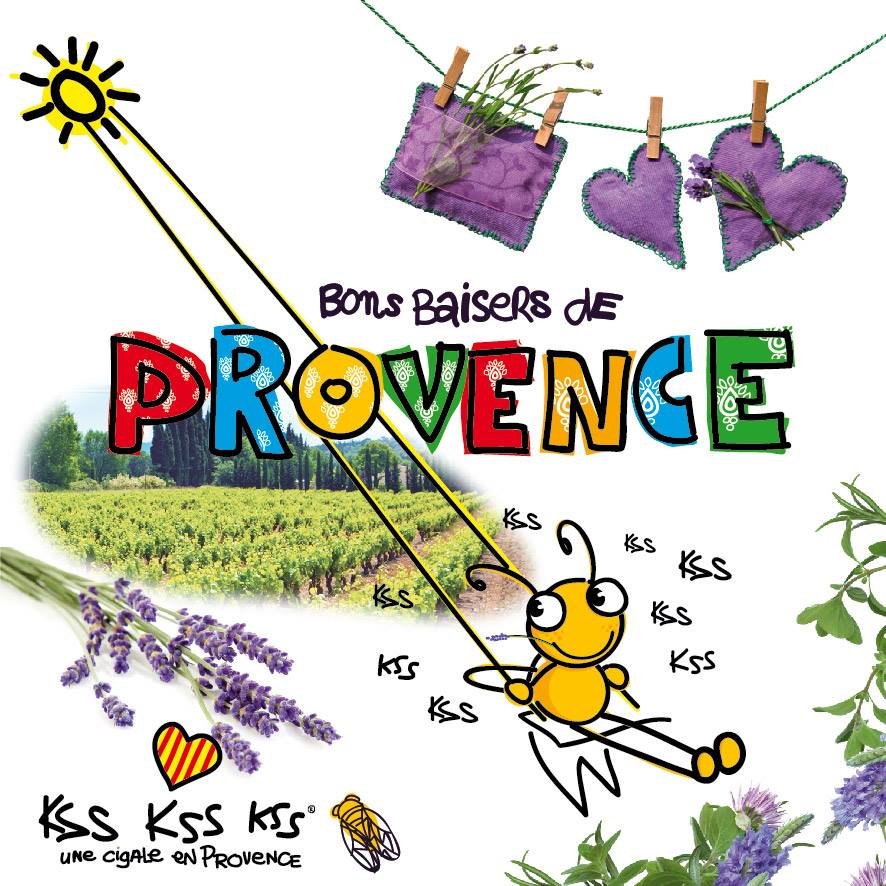 Les saisons de la cigale en Provence